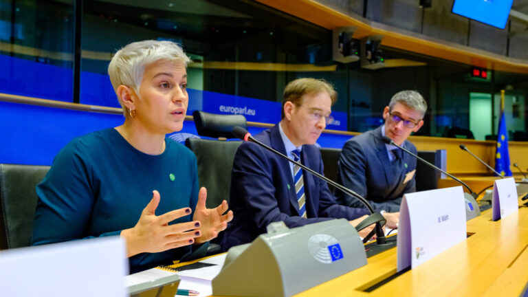 Home | Maria Walsh MEP